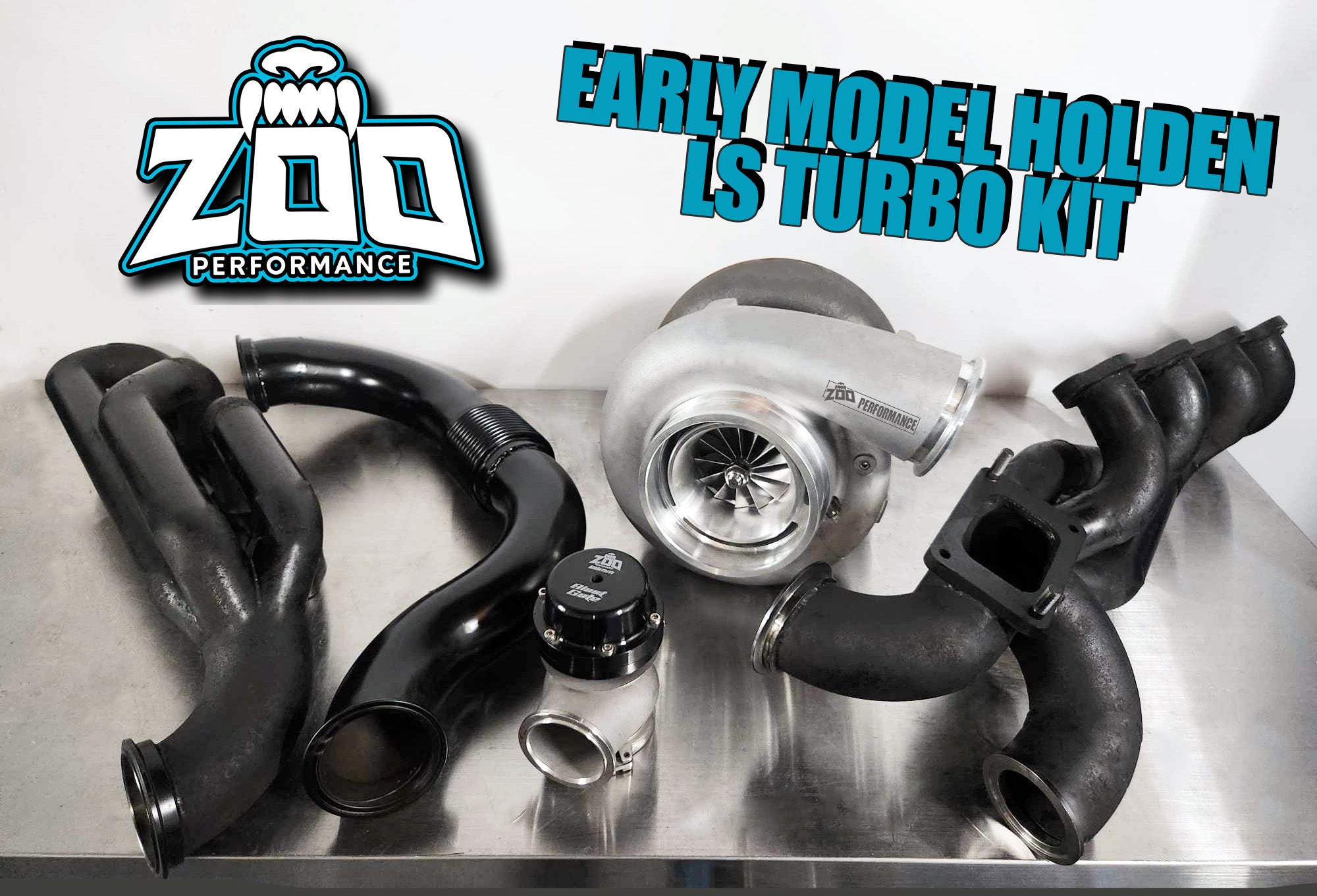 LS MANIFOLD / TURBO KIT - Zoo Performance